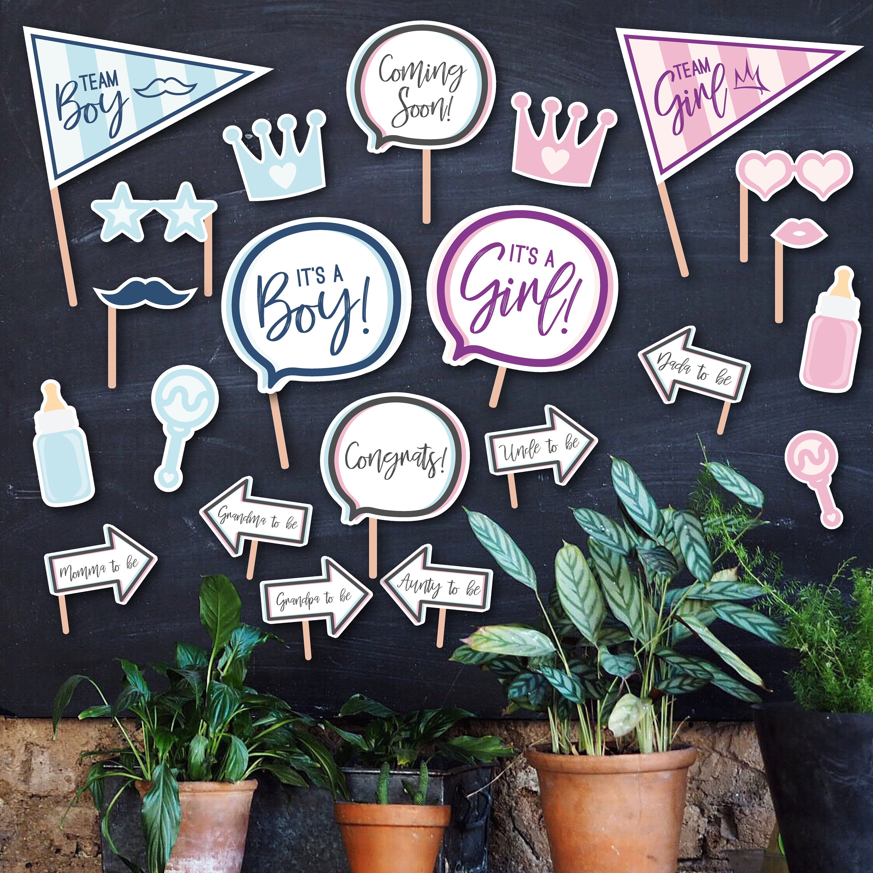 Gender Reveal Photo Booth Props - Etsy