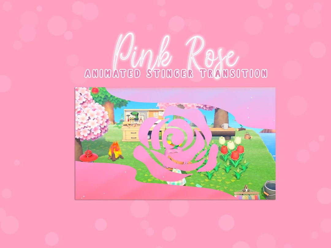 Animated Pink Rose Stinger Transition | Twitch Transition | OBS Stinger ...