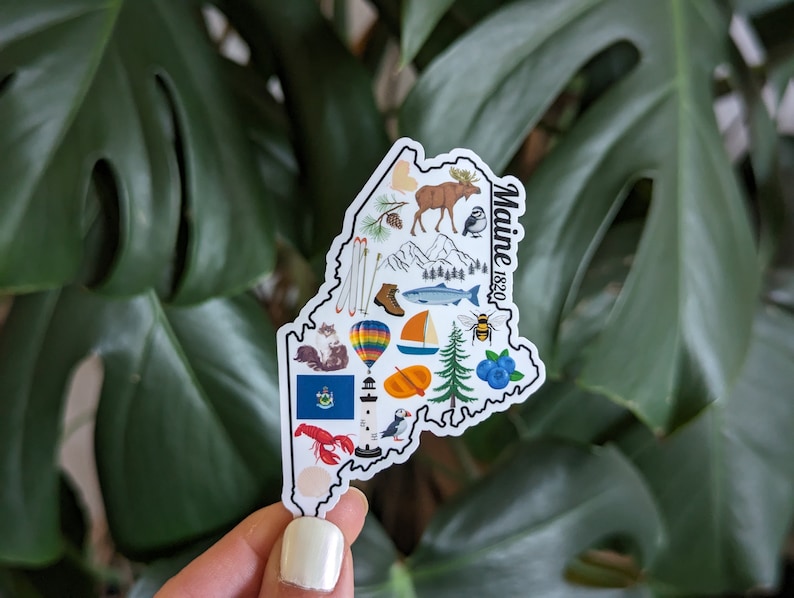 State of Maine Sticker, Pine Tree State, Souvenir Sticker - Etsy