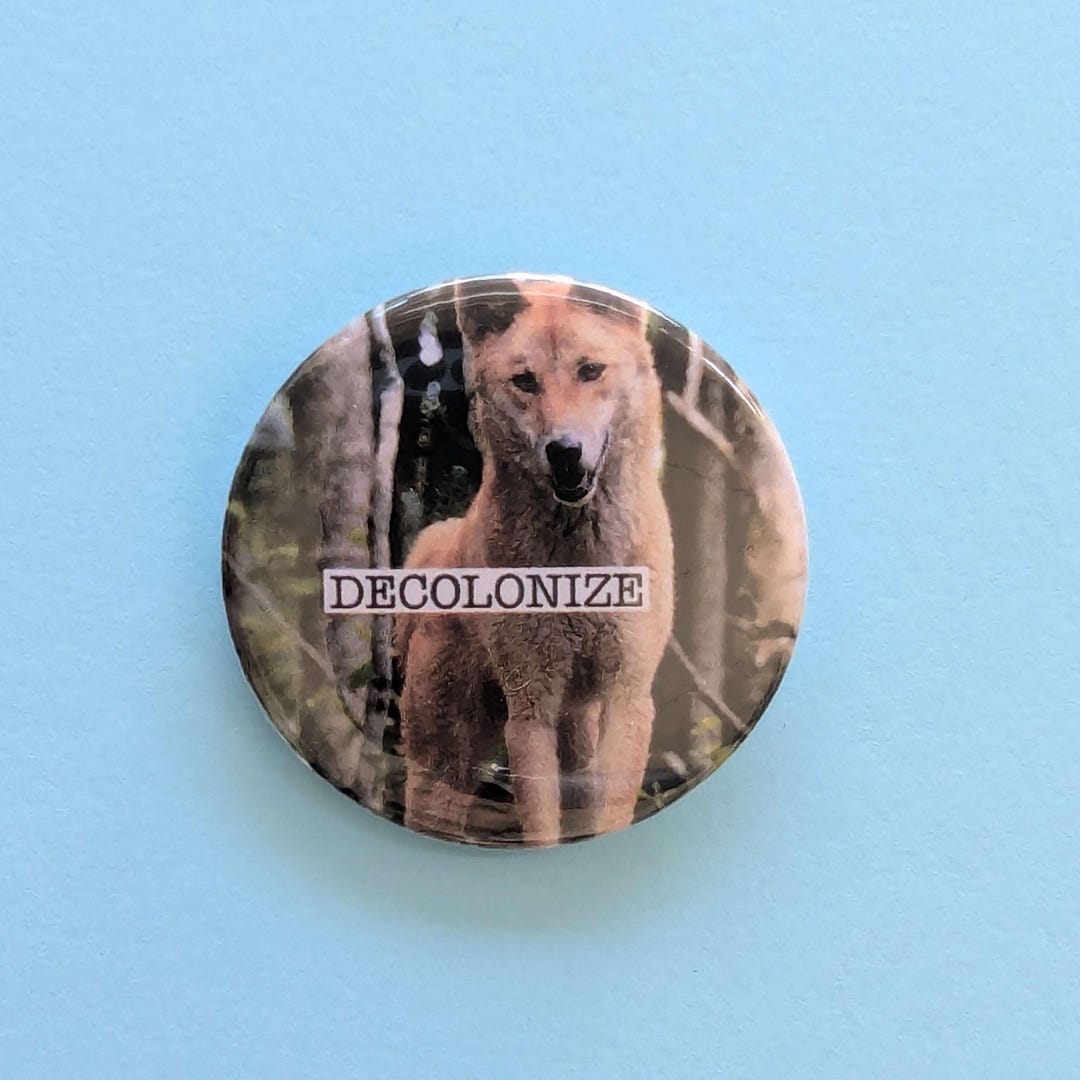 Decolonize - Activist - 44mm Pin Badge Button - Etsy Australia