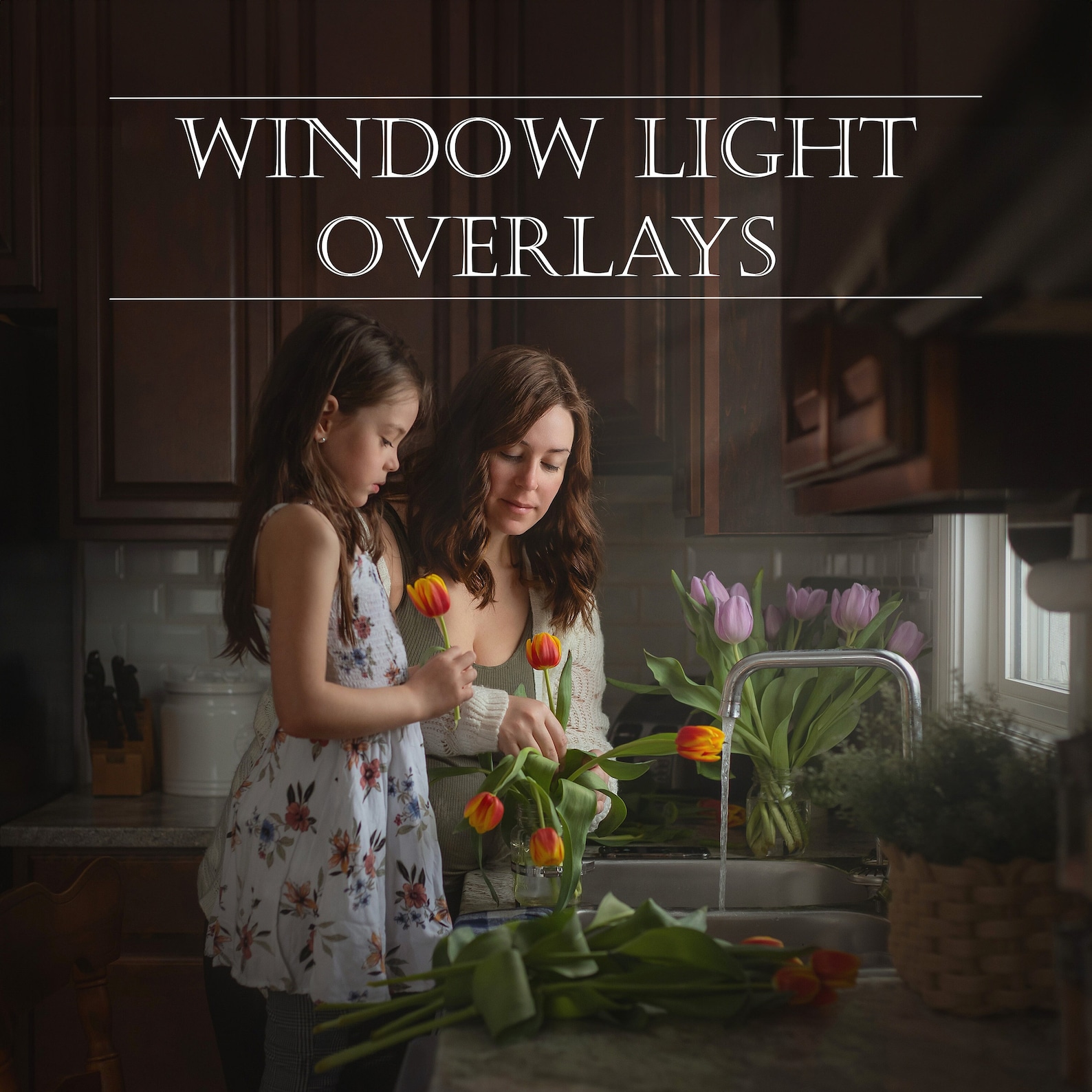Window Light Overlays, Photoshop Overlays, Light Overlays, Photography ...