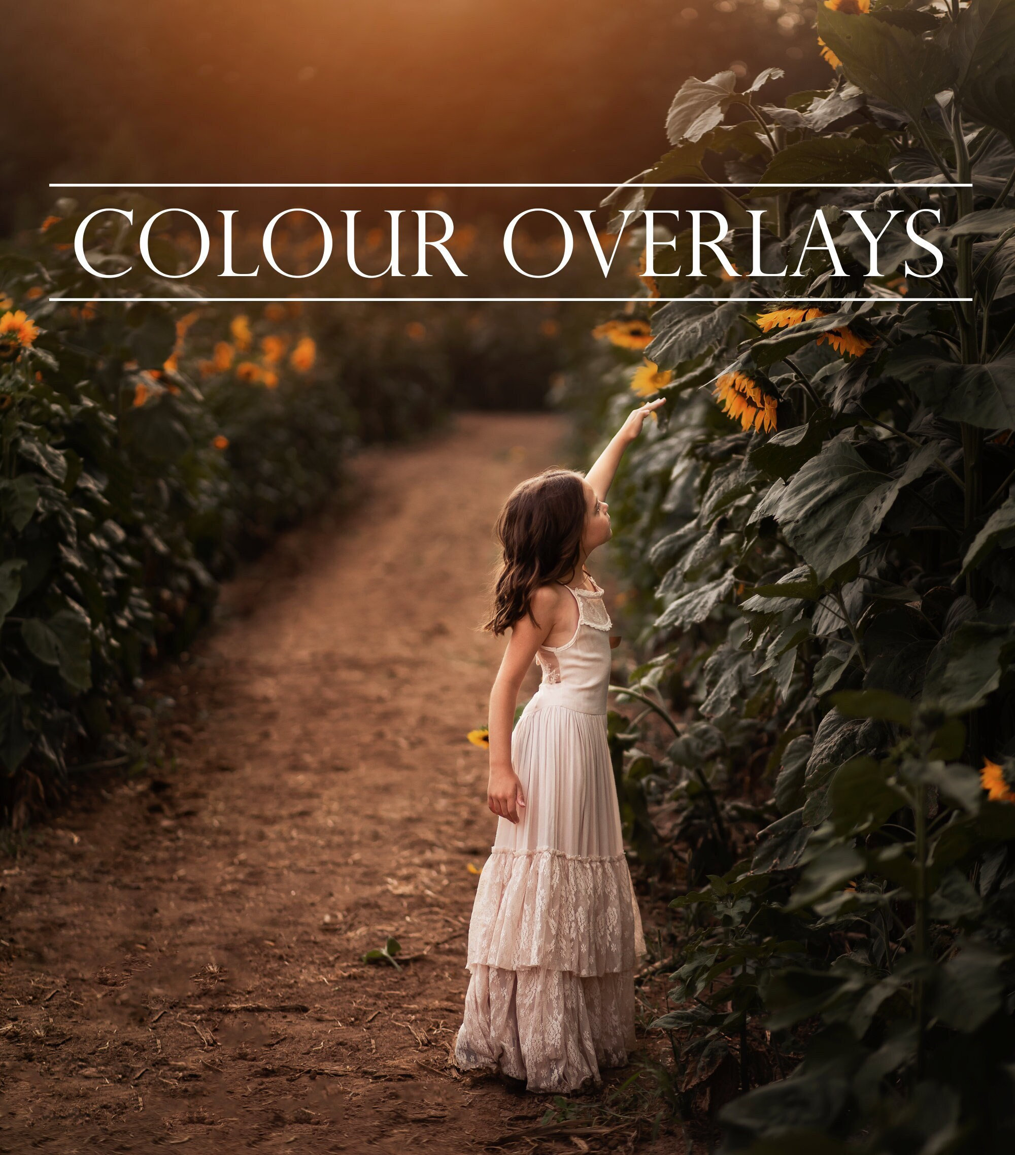 Colour Overlays Photoshop Overlays Photography - Etsy