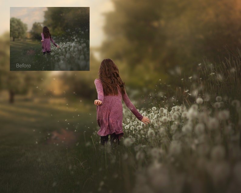 Colour Overlays Photoshop Overlays Photography - Etsy