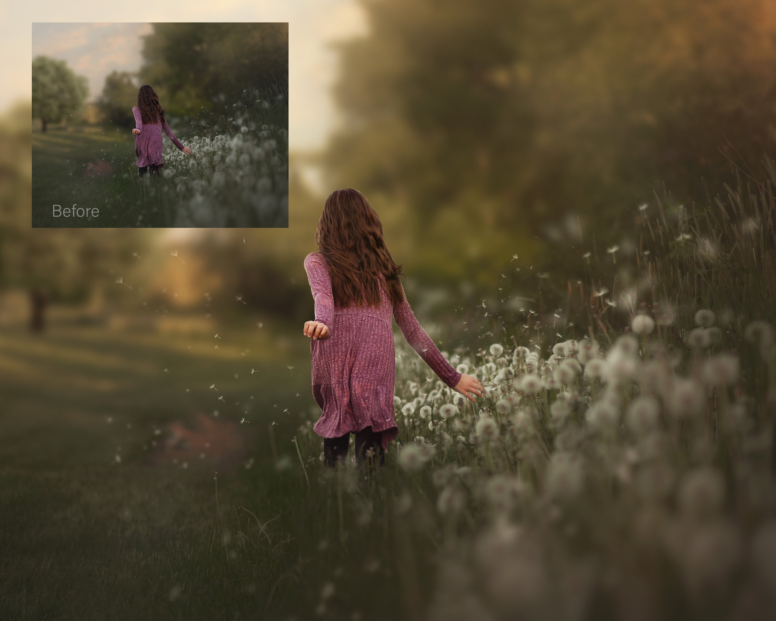 Colour Overlays Photoshop Overlays Photography - Etsy