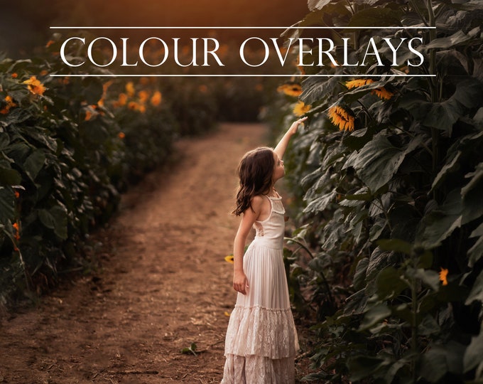 Colour Overlays Photoshop Overlays Photography - Etsy