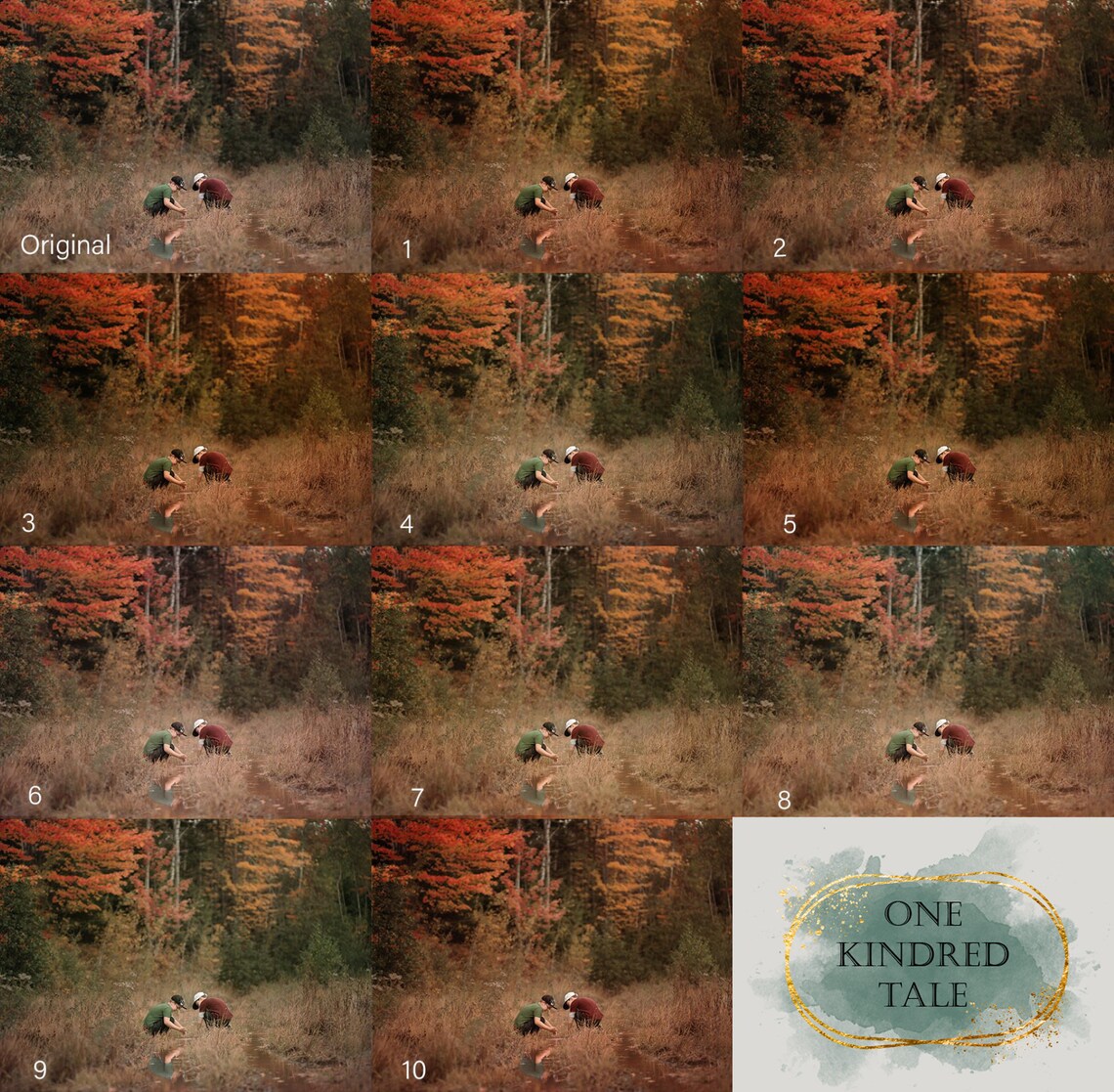 Colour Overlays Photoshop Overlays Photography - Etsy