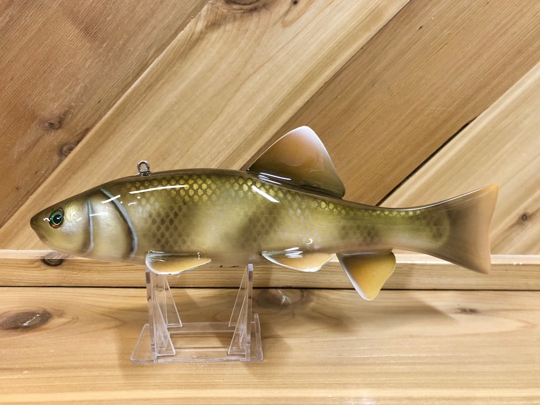 Northern Hog Sucker Fish Spearing Decoy -WRRHS - Etsy