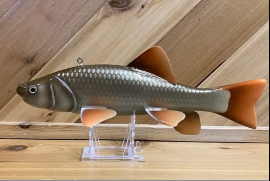Red Horse Sucker Fish Spearing Decoy -WRRHS - Etsy