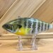 Tiger Trout Spearing Decoy - Etsy