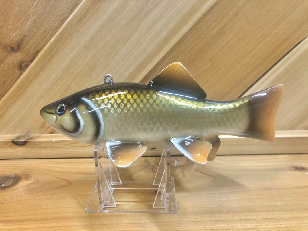 Golden Shiner Fish Spearing Decoy WRGS - Etsy