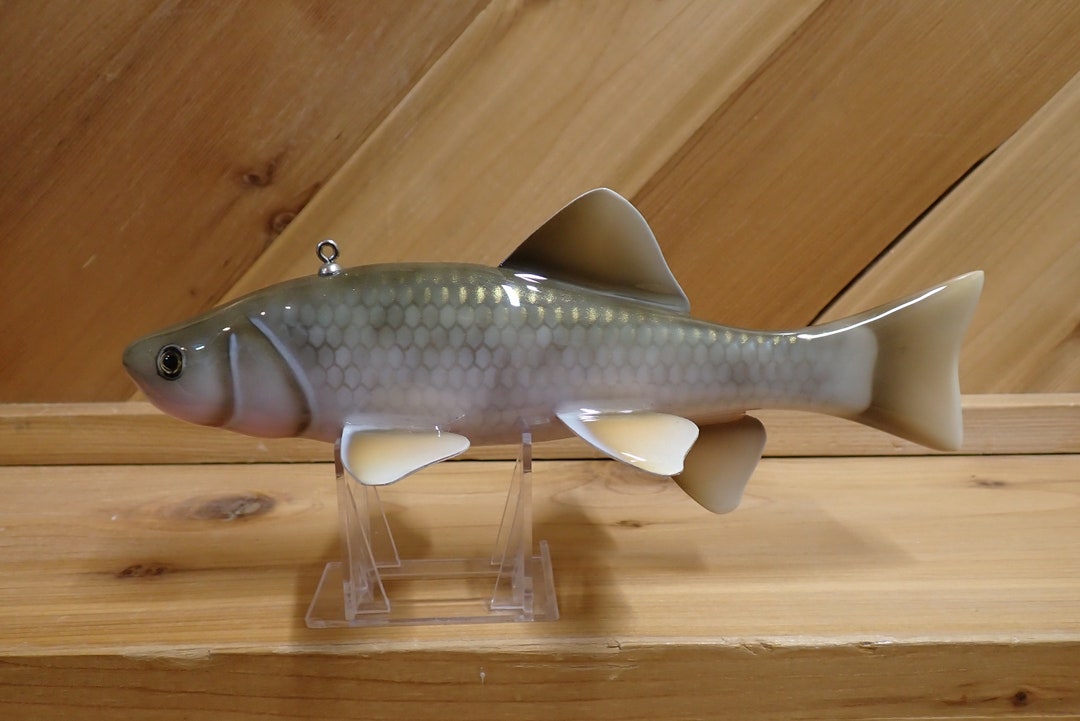 White Sucker Fish Spearing Decoy -WRRHS - Etsy