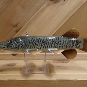 Tiger Musky Fish Spearing Decoy - Etsy