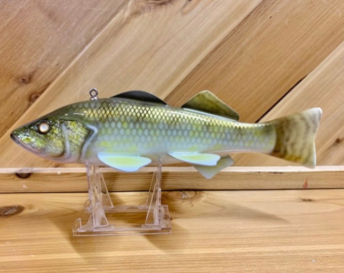 Fish Decoy, 7 Inch, Old Paint, Weighted, Working Decoy - Etsy