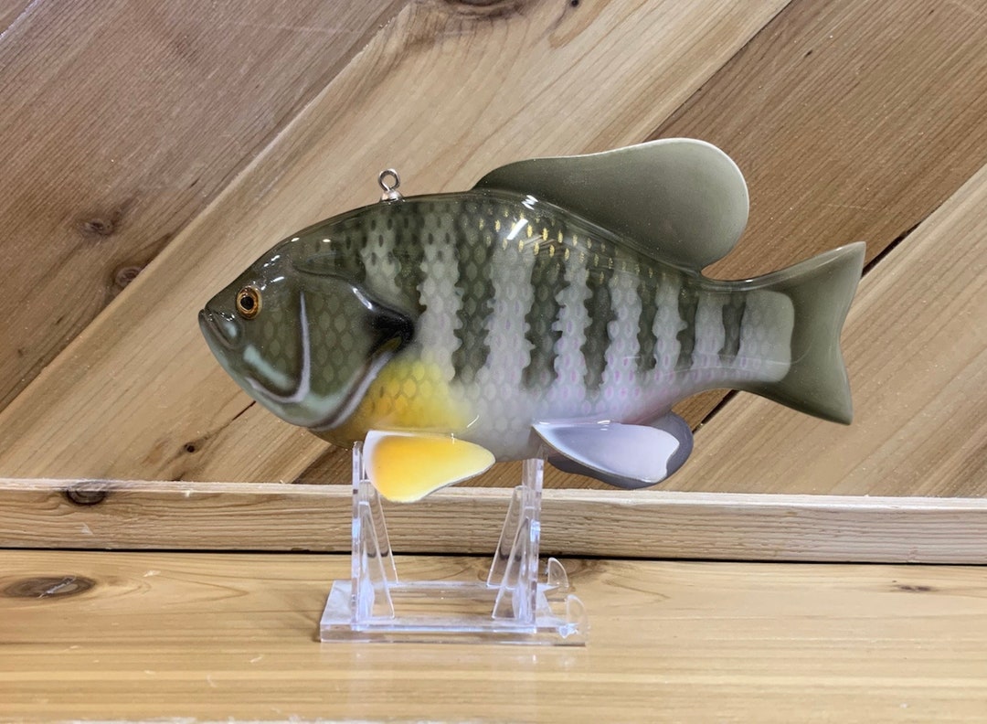 Bluegill Sunfish Spearing Decoy - Etsy