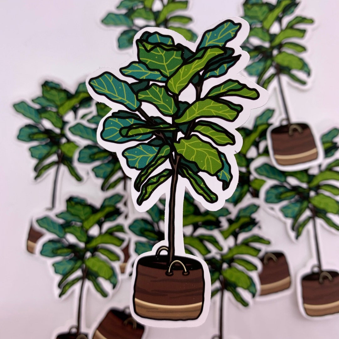 Fiddle Leaf Fig Plant Sticker | Matte, Waterproof Die-cut Sticker - Etsy