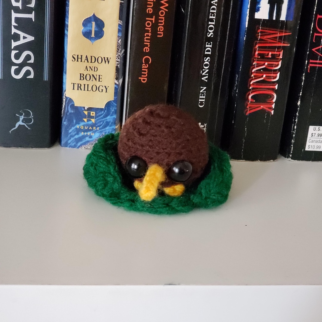 Custom Crochet Kiwi Bird Desk Pet | Personalized Kiwi Bird Mini Plush ...