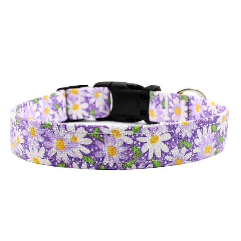 Spring Dog Collar - Etsy
