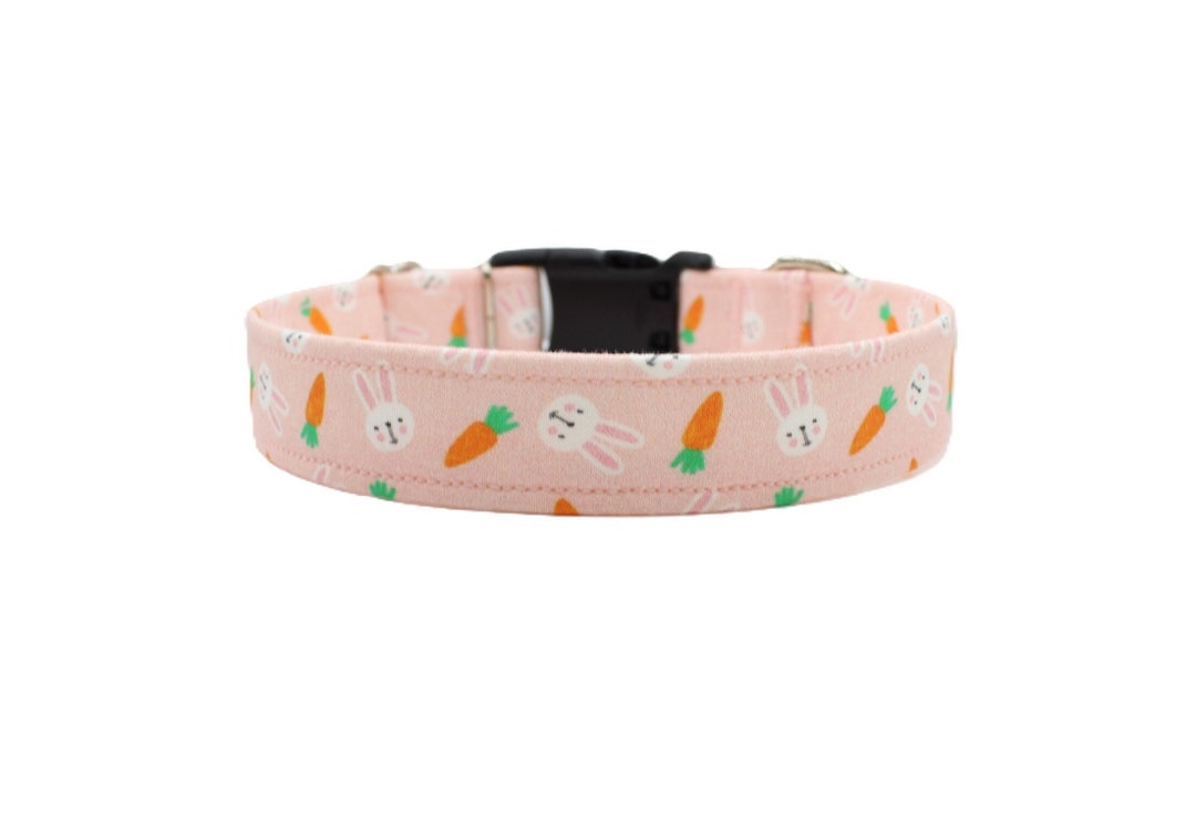 Bunny Carrots Easter Dog Collar, Adjustable Dog Collar, Spring Dog ...