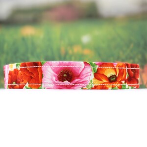 Poppy Flowers Adjustable Dog Collar, Poppy, Dog Collar, Dog Collars ...