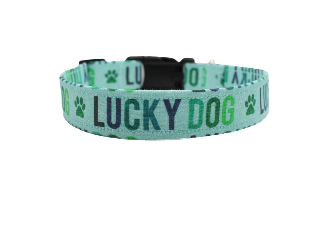 Lucky Dog Collar Lucky Charm Lucky Spring Adjustable Dog Collar Dog ...