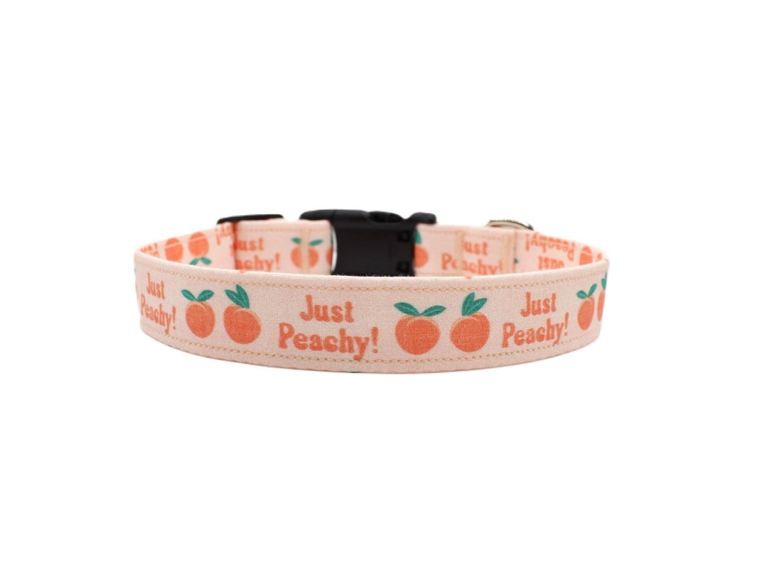 Just Peachy Adjustable Dog Collar, Peaches Dog Collar, Peach Dog Collar ...