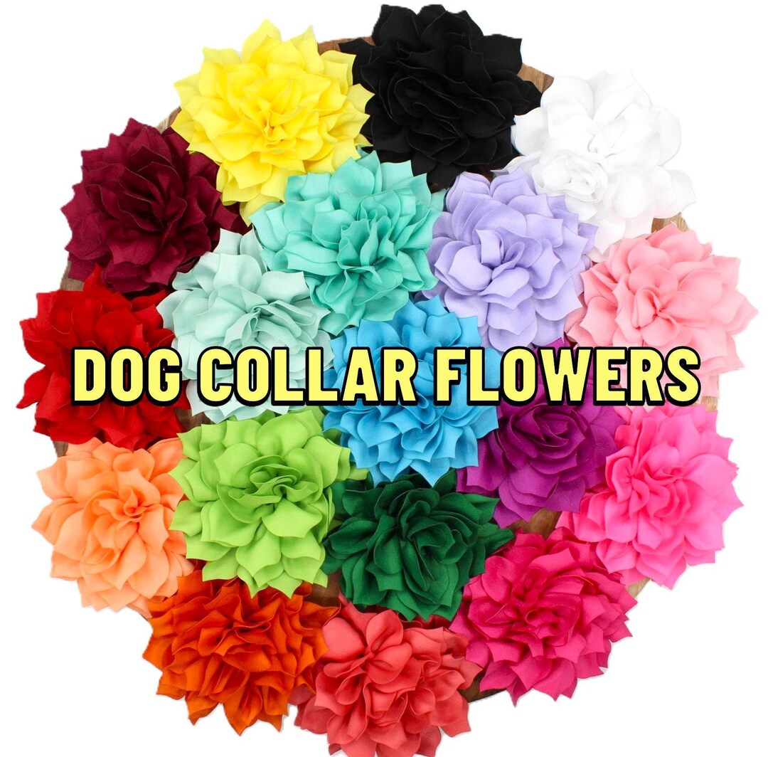 Large Dog Collar Flower: VELCRO® Brand Back Attachment, Pet Wedding ...
