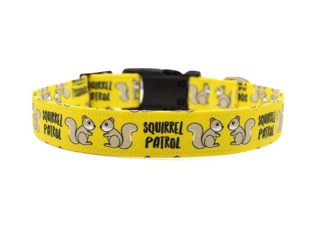 Squirrel Patrol Dog Collar | Squirrels | Mustard Color Fabric | Boy Dog ...