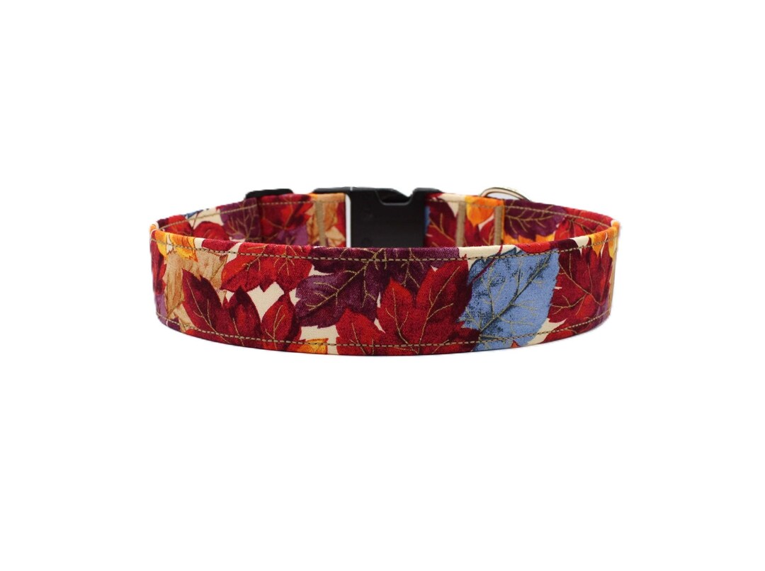Fall Leaves Dog Collar Adjustable Dog Collar Dog Collars Autumn Leaves ...