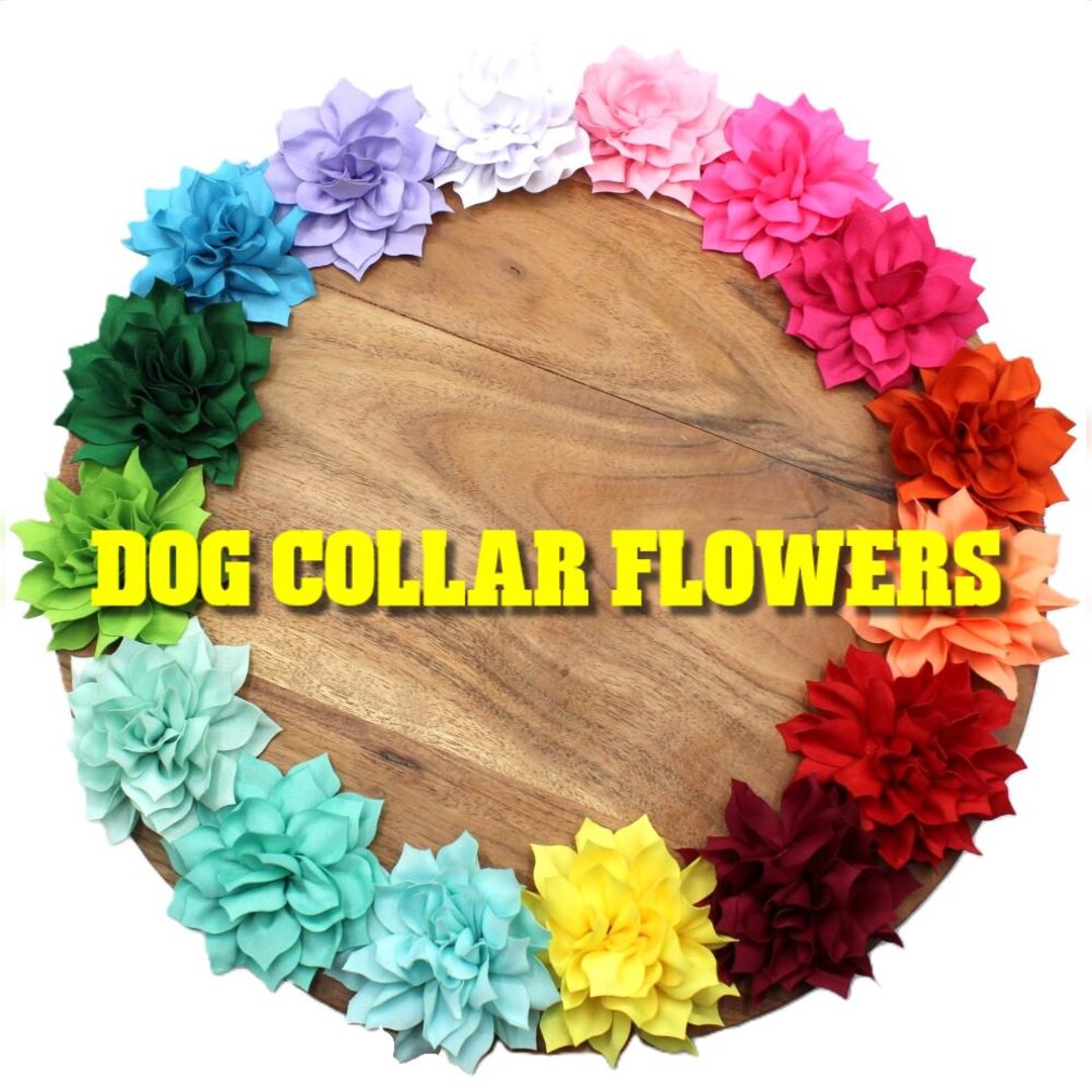 Petal Blossom Dog Collar Flower: VELCRO® Brand Back Attachment, Small ...