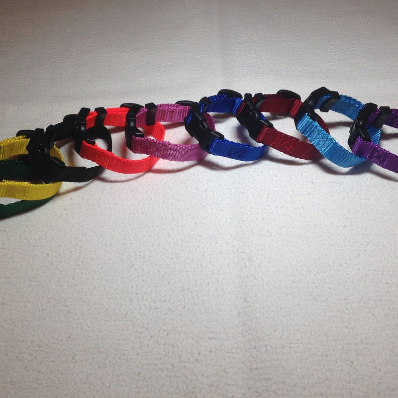 Whelping Collars - Etsy