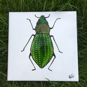 Green Weevil, Original Ceramic Tile Painting, Splashback, Wall Art ...