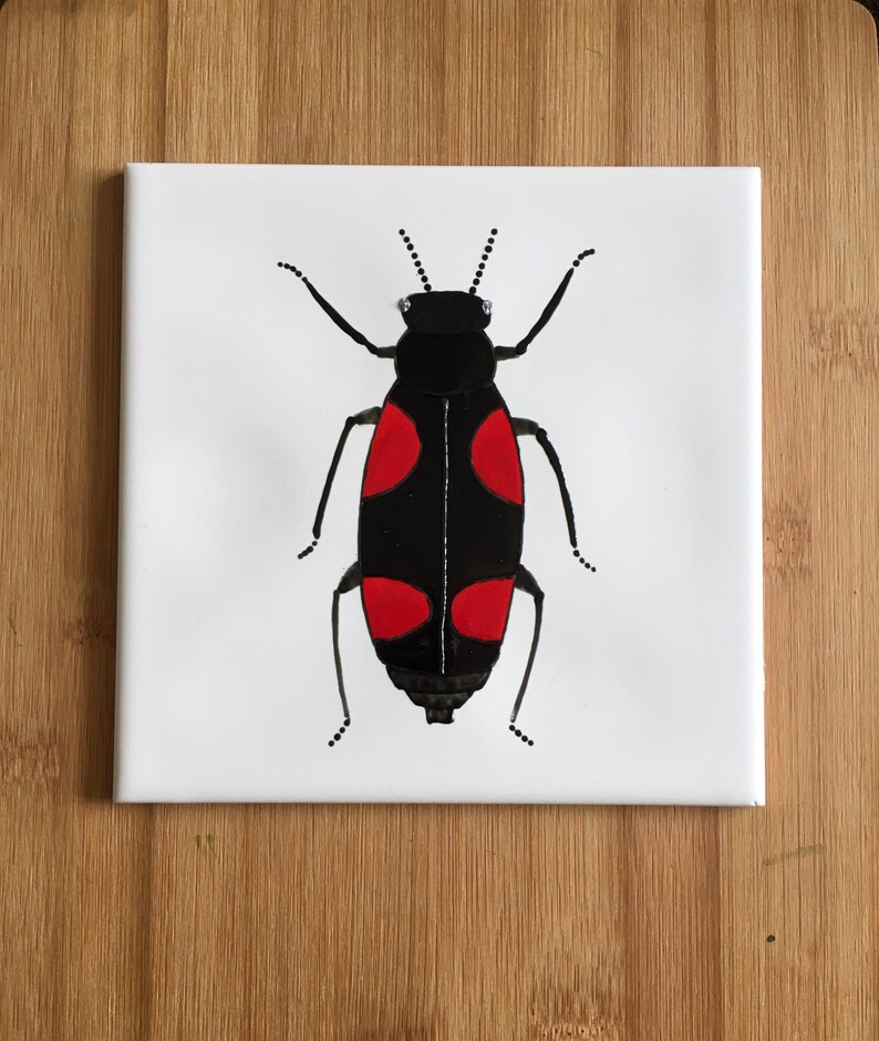 Black and Red Spot Beetle, Original Ceramic Tile Painting, Splashback ...