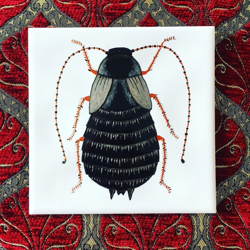 Cockroach, Original Ceramic Tile Painting, Splashback, Wall Art ...