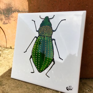 Green Weevil, Original Ceramic Tile Painting, Splashback, Wall Art ...