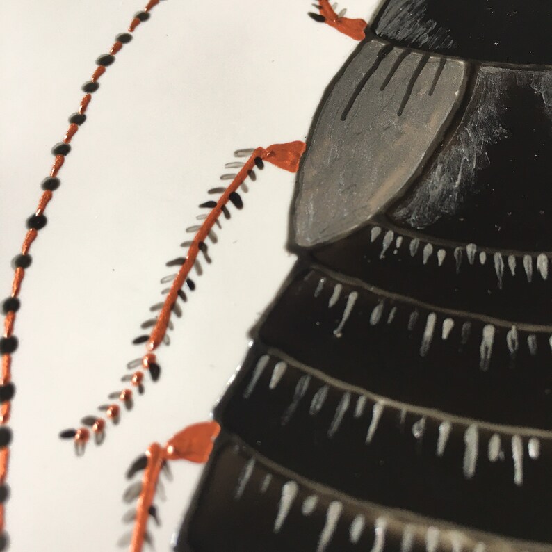 Cockroach, Original Ceramic Tile Painting, Splashback, Wall Art ...