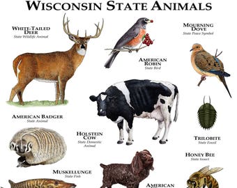Pennsylvania State Animals Poster Print | Etsy