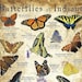 Butterflies of Indiana Poster Print Field Guide - Etsy