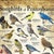 Songbirds of Missouri Poster Print Field Guide - Etsy