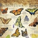 Butterflies of Alabama Poster Print Field Guide - Etsy