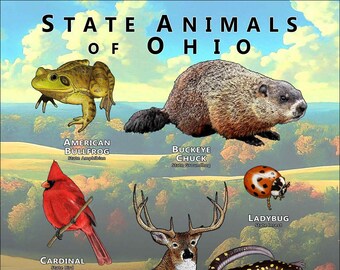 WildlifeArtbyRoger - Etsy