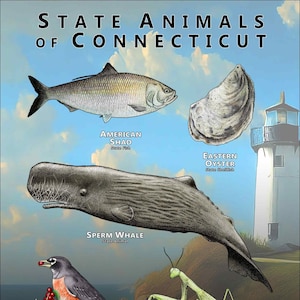 Connecticut State Animals Poster Print - Etsy