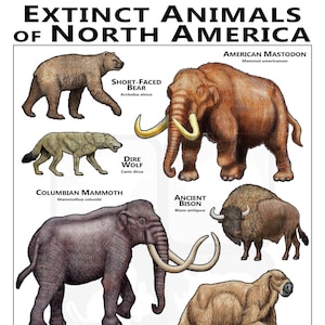 Extinct Animals of North America Poster - Etsy Canada