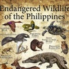 Endangered Wildlife of the Philippines Poster Print - Etsy