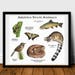 Arizona State Animals Poster Print | Etsy