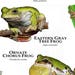 Treefrogs of North America Poster Print - Etsy