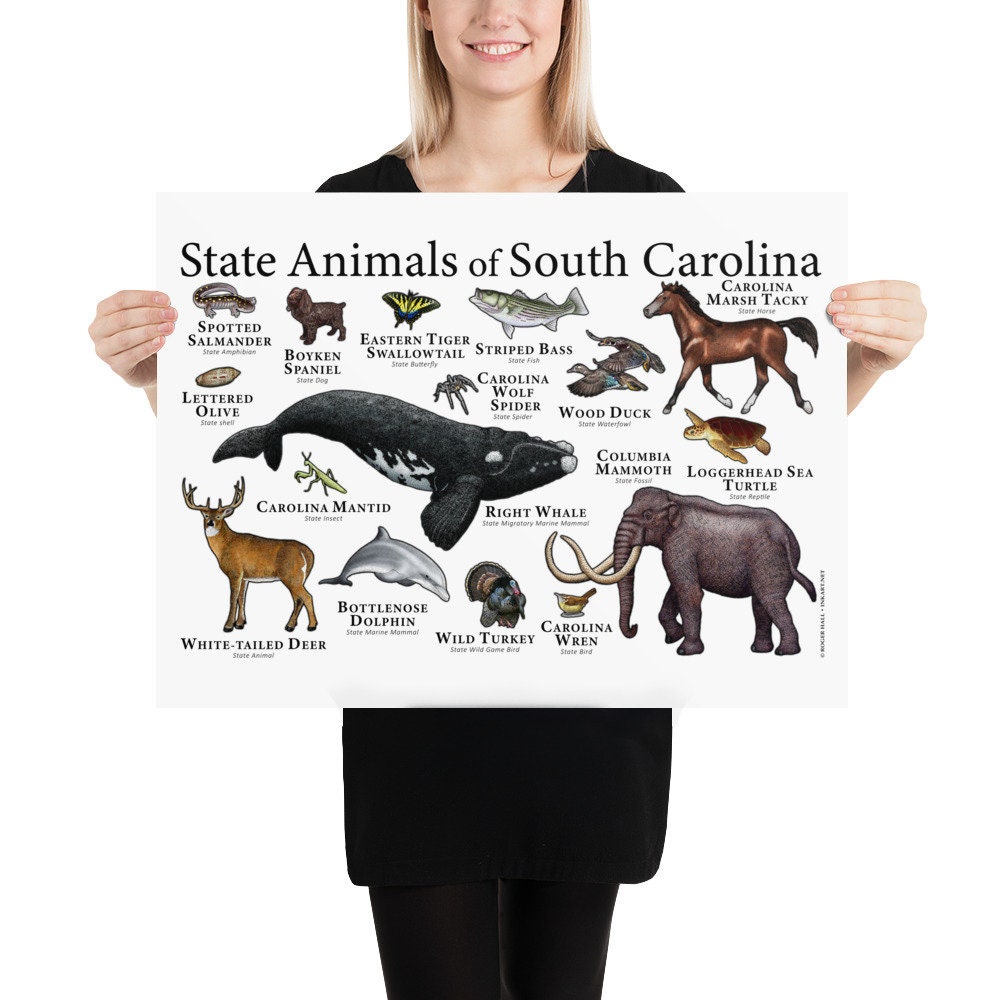 South Carolina State Animals - Etsy UK
