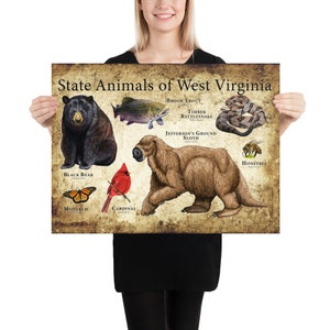 West Virginia State Animals - Etsy