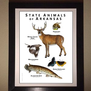 Arkansas State Animals Poster Print - Etsy Canada