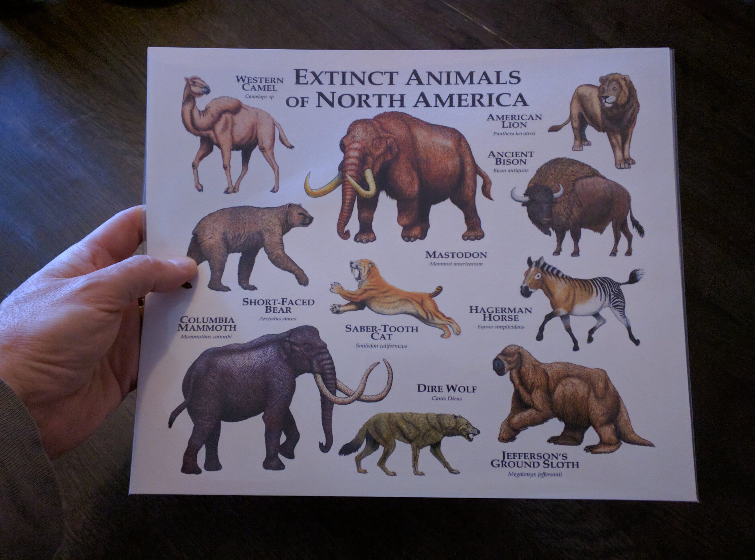 Extinct Mammals of North America Poster Print - SIGNED BY ARTIST! - Etsy
