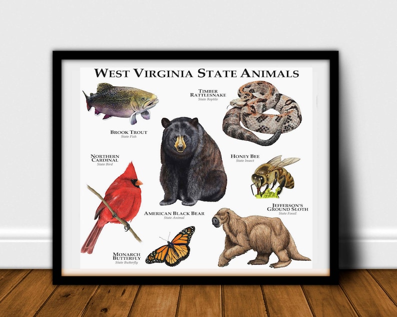 West Virginia State Animals | Etsy